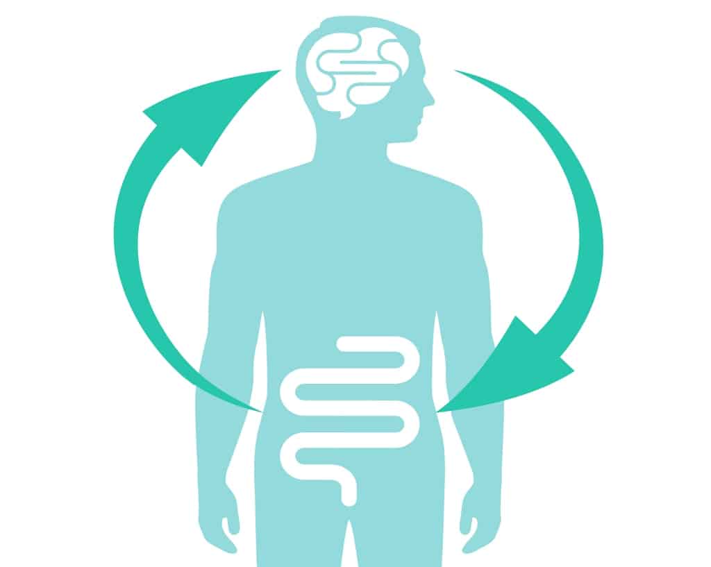 THE GUT-BRAIN CONNECTION TO DEPRESSION - Alternative Health Atlanta ...