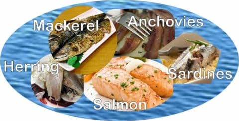 SMASH: Potent Recipe to Increase Omega-3 - Alternative Health Atlanta ...